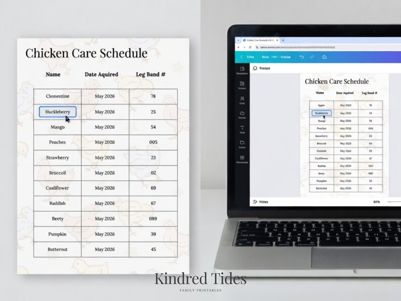 Chicken Care Schedule Printable | Daily, Weekly, Monthly Coop ...