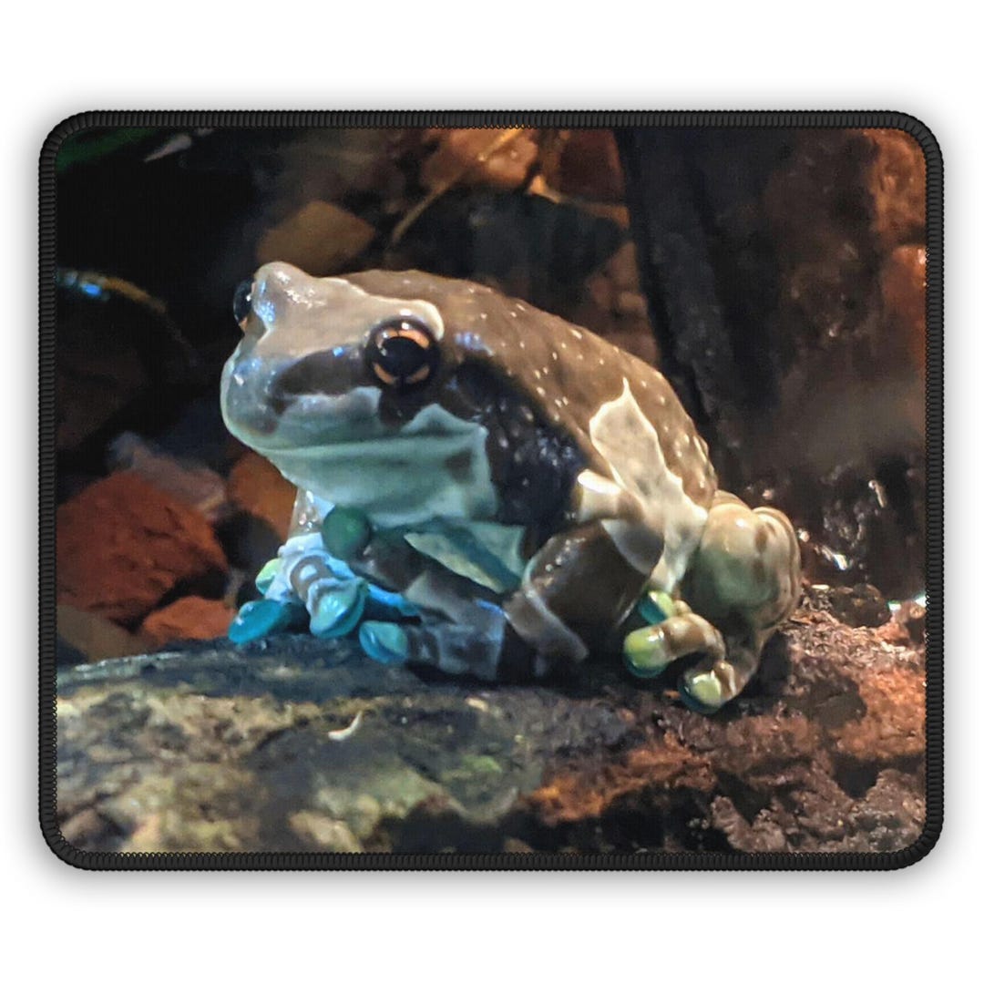 Toad Gaming Mouse Pad - Etsy