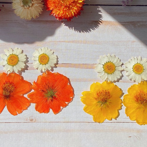 Pressed Bleeding Heart Earrings Dried Flower Handmade Resin - Etsy