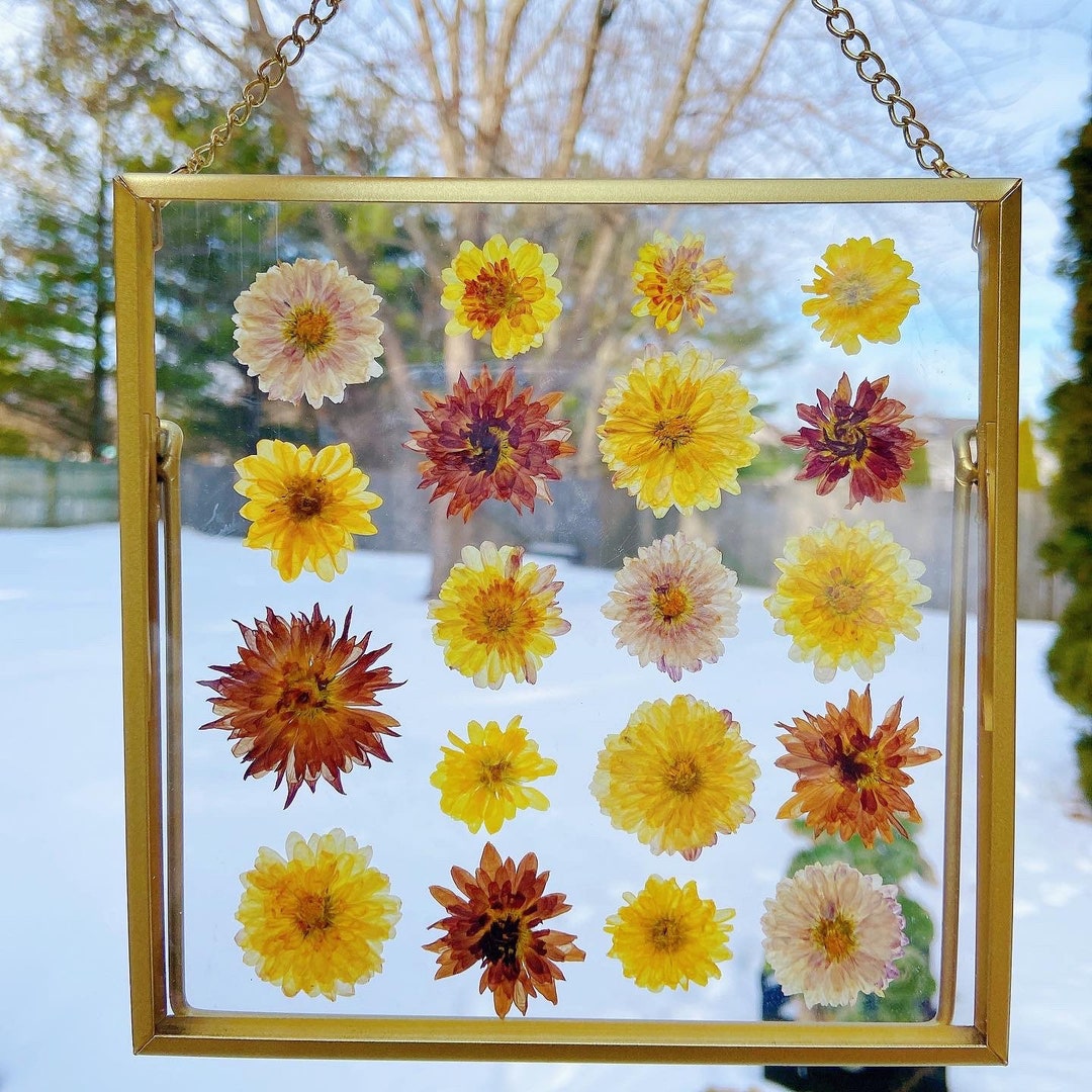 Pressed Mums Flower Wall Frame Decor, Mother’s Day Gift, Wall Hanging ...