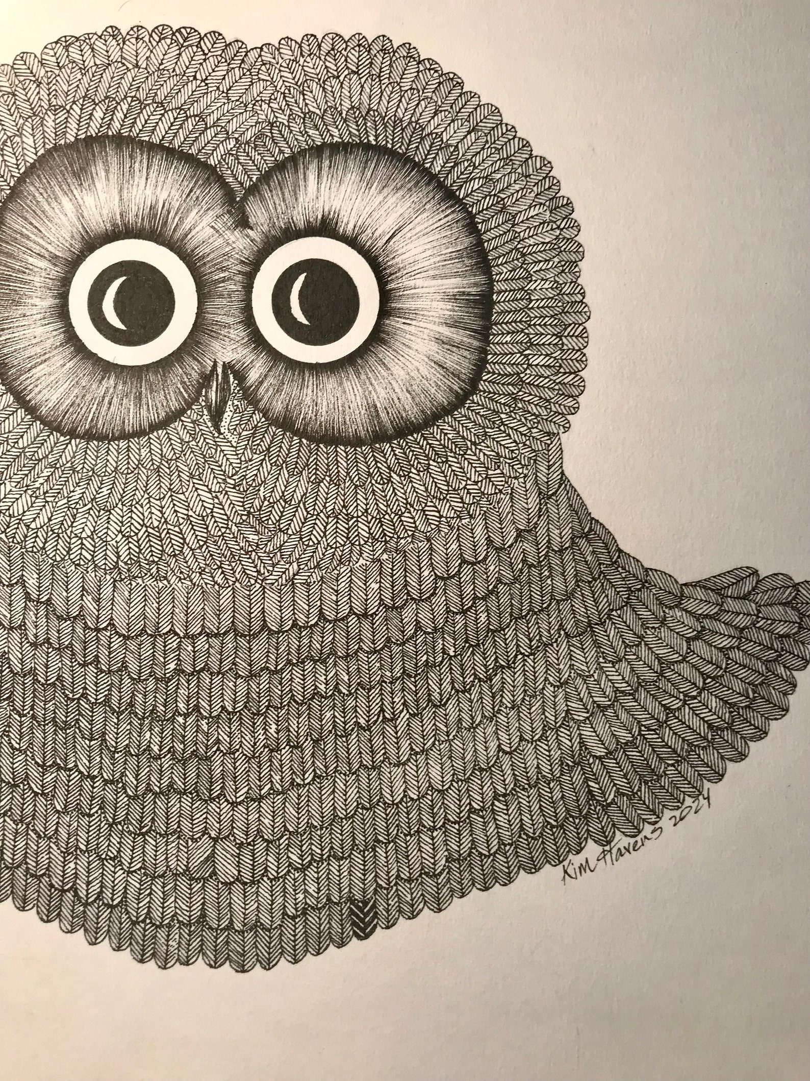 Original Owl Drawing, Pen and Ink Drawing 8x8 Inch, Detail Drawing ...