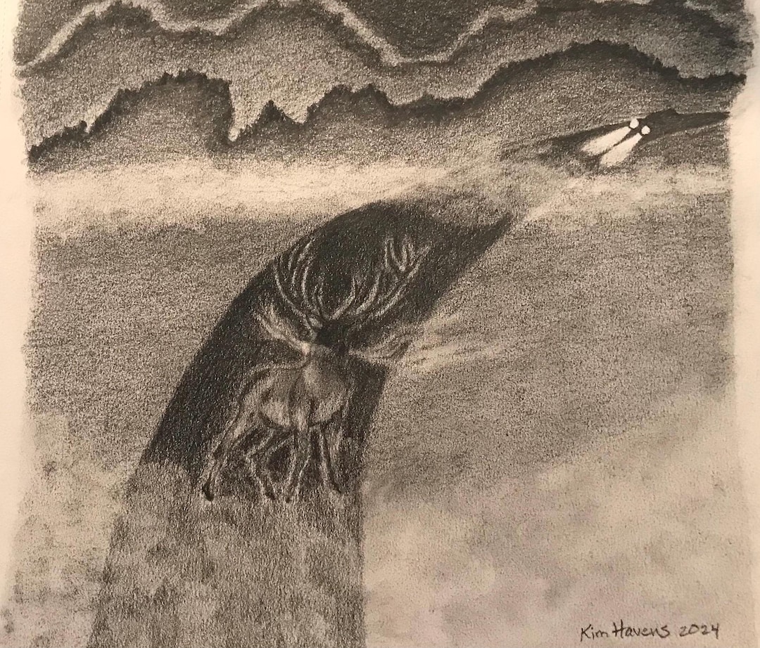 Graphite Pencil Drawing, Original Artwork, Night Driving, Foggy, Elk ...
