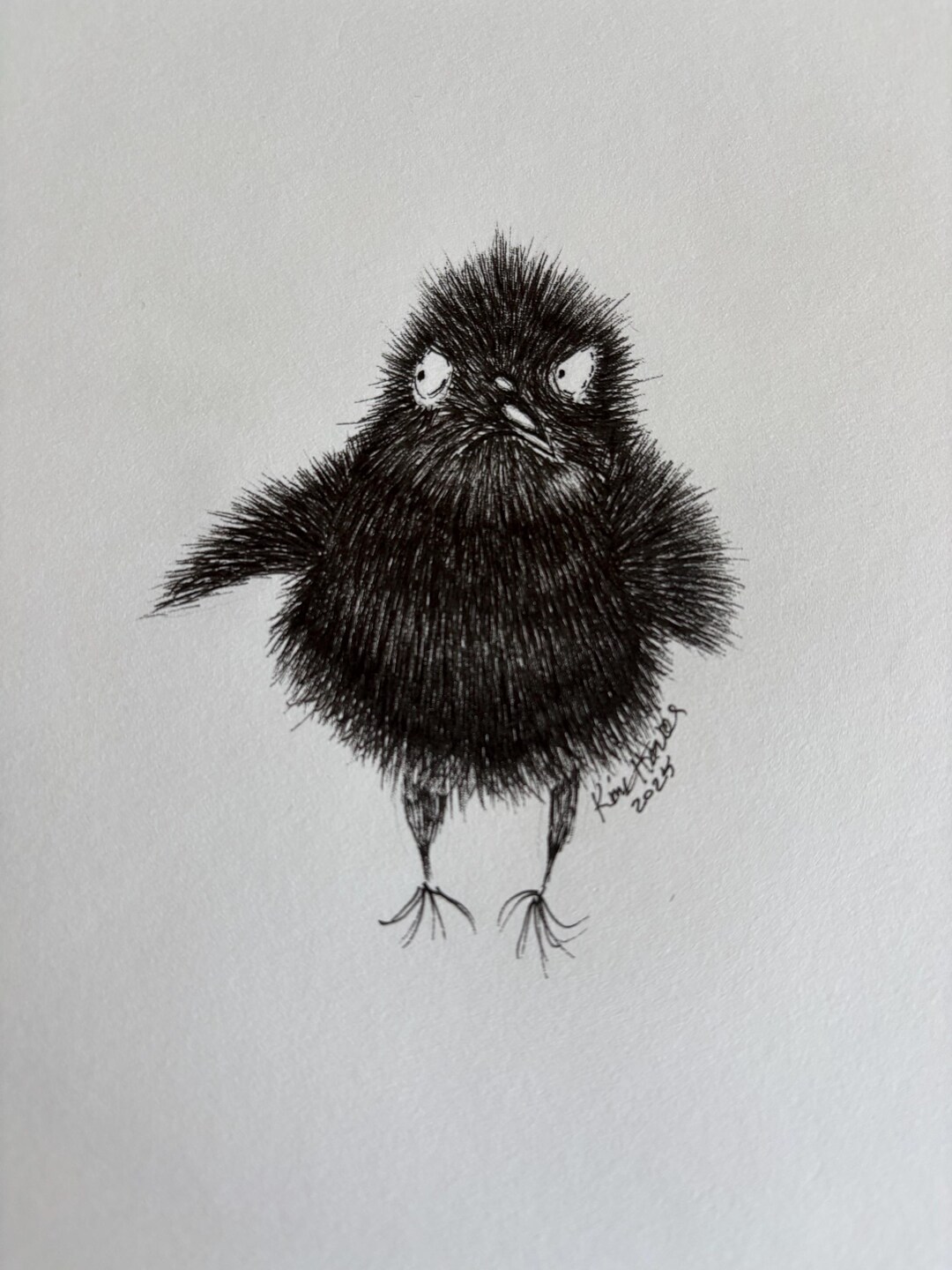 Baby Crow, Pen Ink Drawing, Original Artwork, 5x5 Inch, Black Pen Ink ...