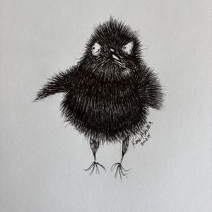Baby Crow, Pen Ink Drawing, Original Artwork, 5x5 Inch, Black Pen Ink ...