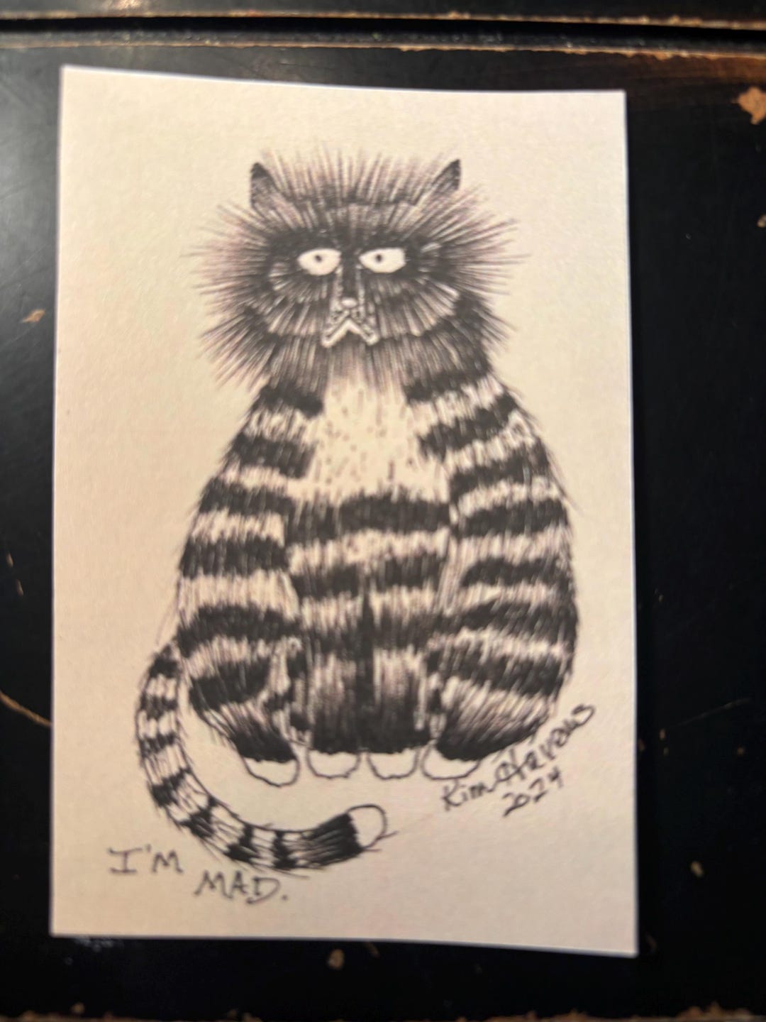 Aceo Cat Art Print, Pen Ink Drawing, Illustration, Funny Looking, Black ...