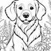 24-page Dog Coloring Book - Printable & Editable Canva Template - Etsy