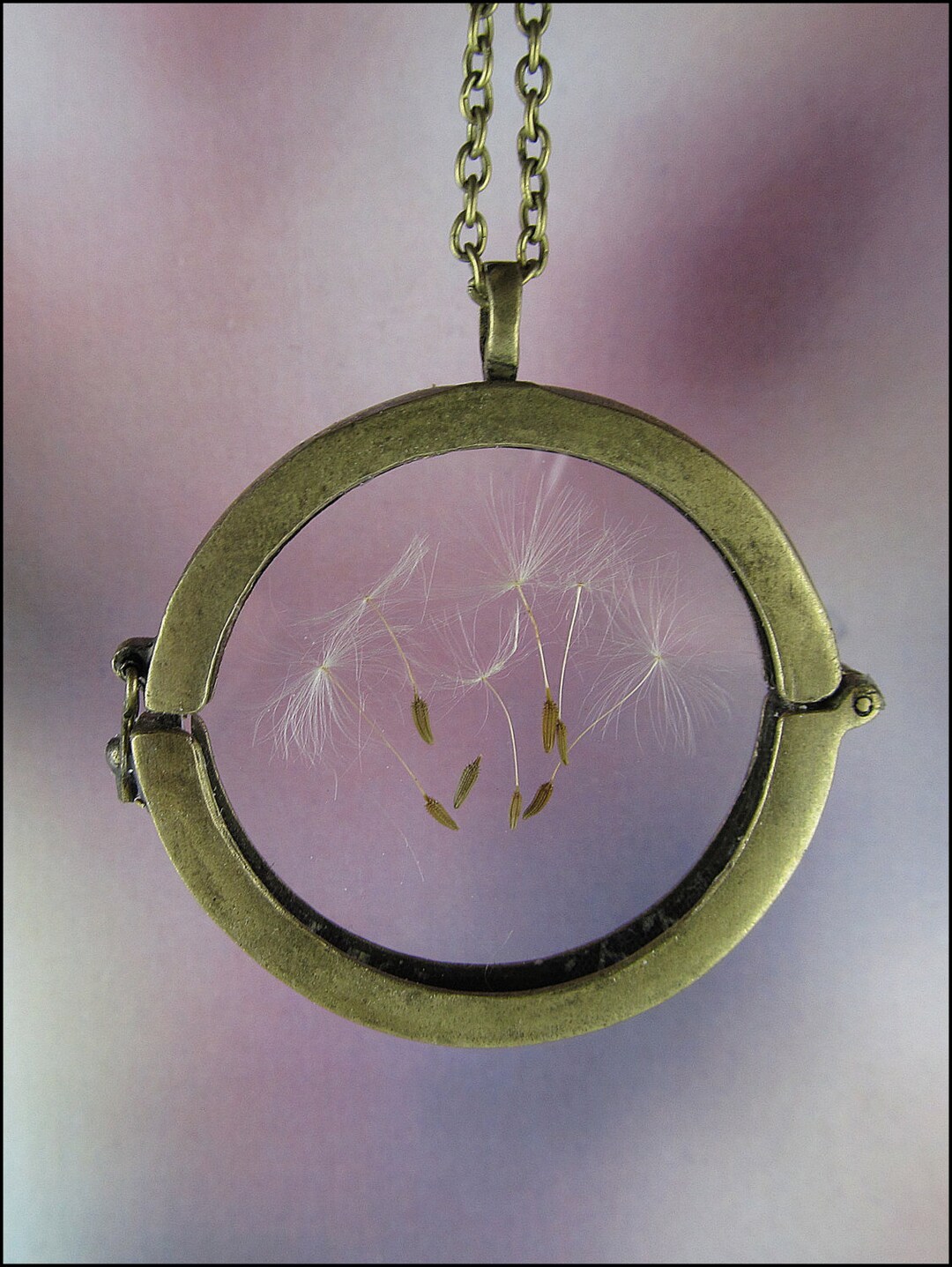 Real Pustules Seeds in a Glass Medallion - Etsy