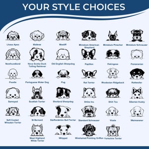 Custom Address Stamp Self-inking, Rubber Stamp or Pre-inked Stamps ...