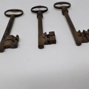 Vintage Skeleton Keys, Antique Keys, Set of 3 Steampunk Keys, French ...
