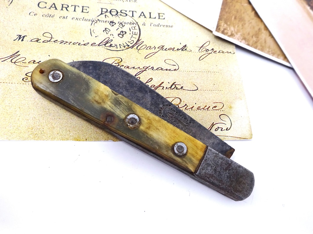 Genuine Brossard Vintage Penknife With Horn Handle, Veritable Brossard ...