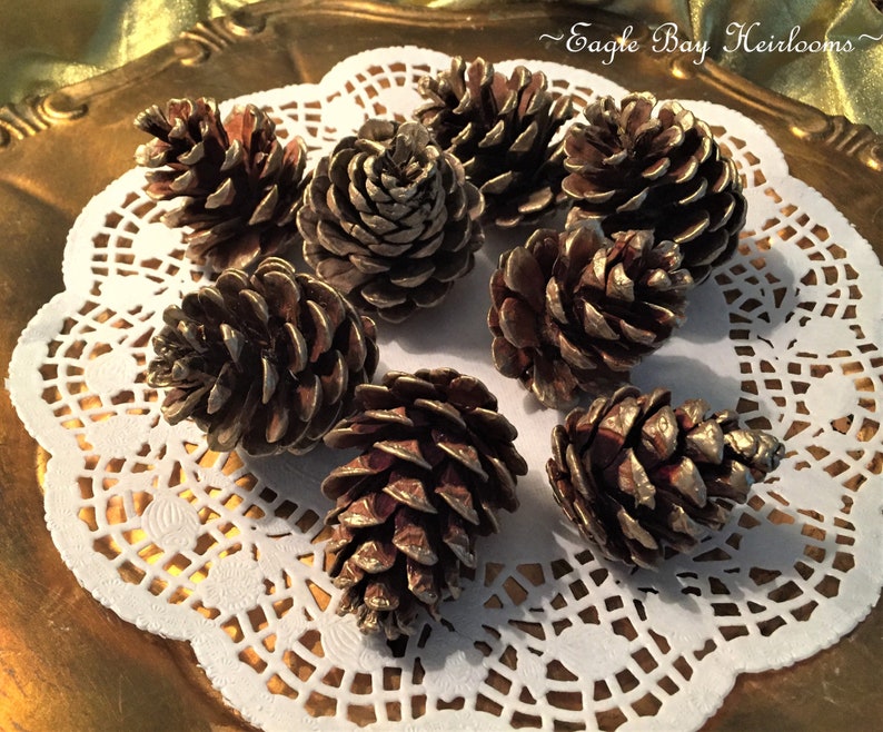 Set/8 Pine Cones CHOICE of FINISH, for Crafting, White or Gold ...