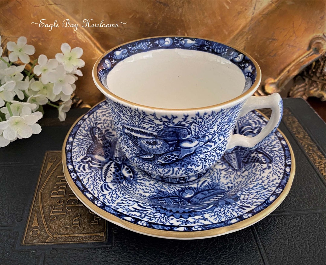 Mottahedeh Torquay Blue, Teacup & Saucer Set, Gold Trim, Seashells ...