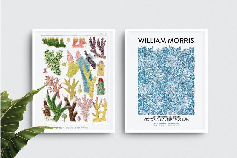 Gallery Wall Set of 8 Prints, Sea Life Poster, Ocean Art Boho Wall ...