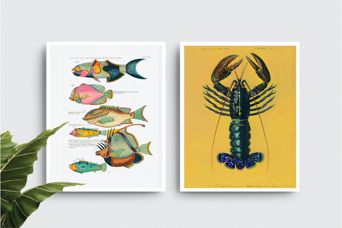 Gallery Wall Set of 8 Prints, Sea Life Poster, Ocean Art Boho Wall ...