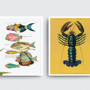 Gallery Wall Set of 8 Prints, Sea Life Poster, Ocean Art Boho Wall ...
