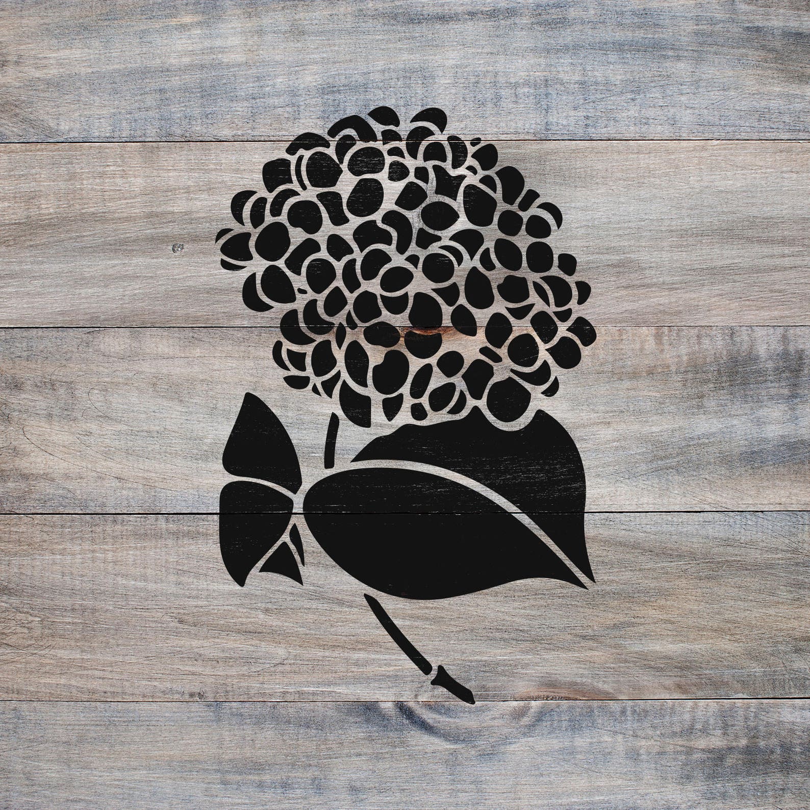 Chrysanthemum Stencil Reusable DIY Craft Flower Stencils of a ...