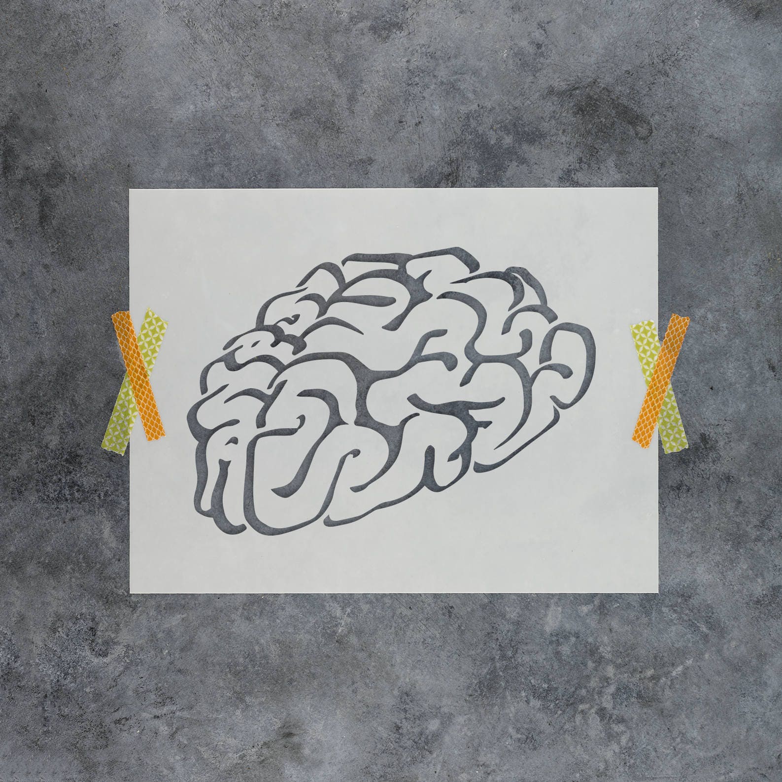 Brain Stencil Reusable Brain Stencils Large Brain Stencil - Etsy