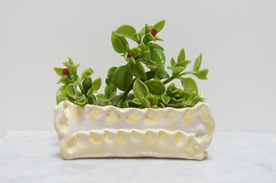 Decorative Garden Clay Pot - Rectangular Ruffle Pot! - Etsy
