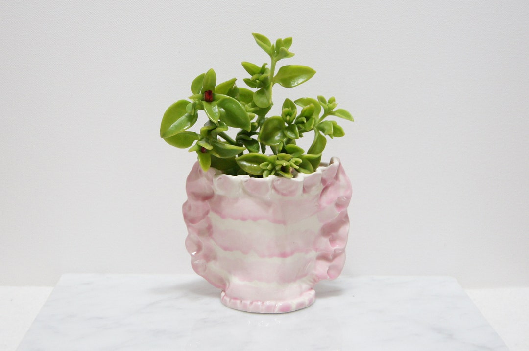 Decorative Garden Clay Pot - Pinky Wing Ruffle Pot! - Etsy