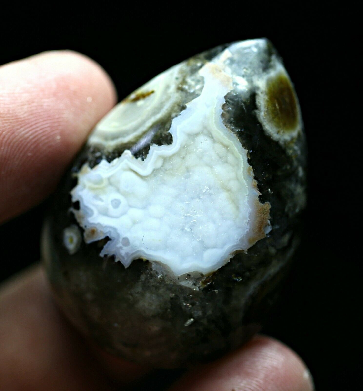 EXQUISITE ENCASED White and Green Botryoidal Ocean Jasper - Etsy UK