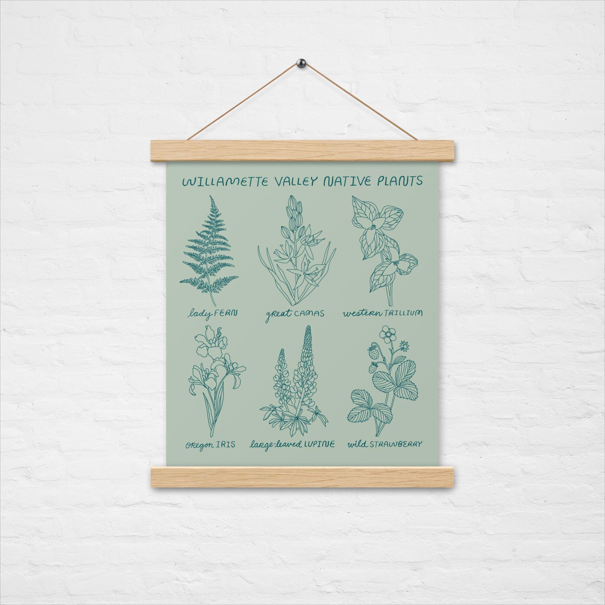 Willamette Valley Native Plants Poster With Hangers 11x14 - Etsy