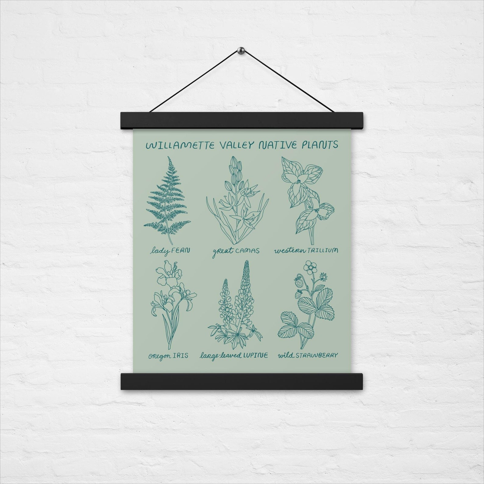 Willamette Valley Native Plants Poster With Hangers - 11"x14" - Etsy