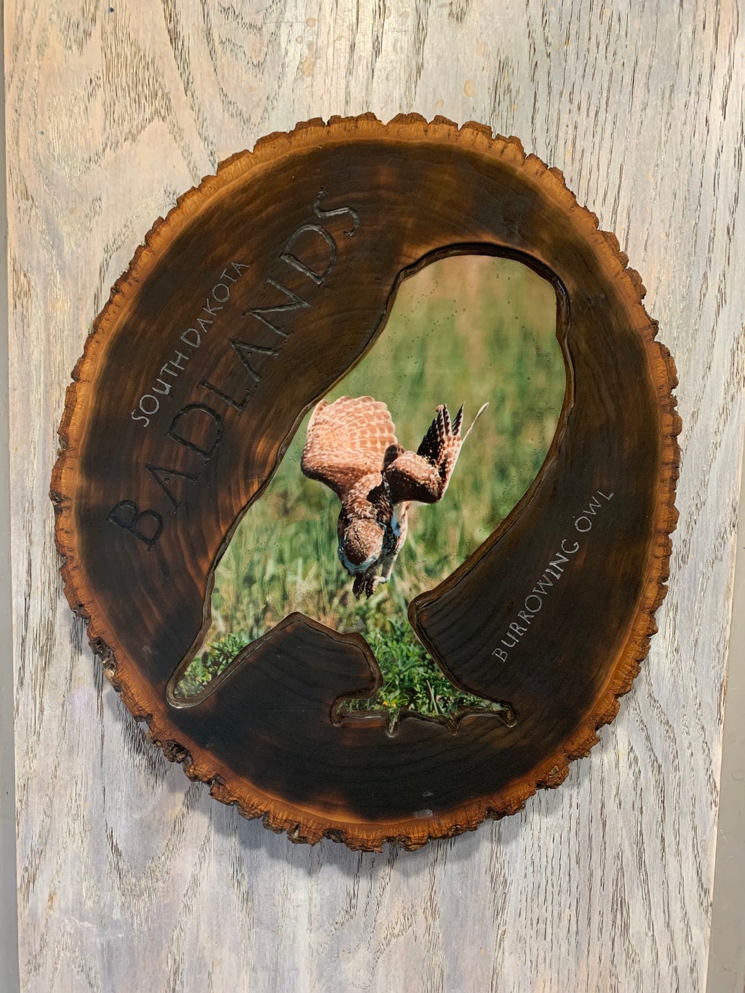 Unique Wooden Frame With a Owl Shaped Photograph of Burrowing Owl ...