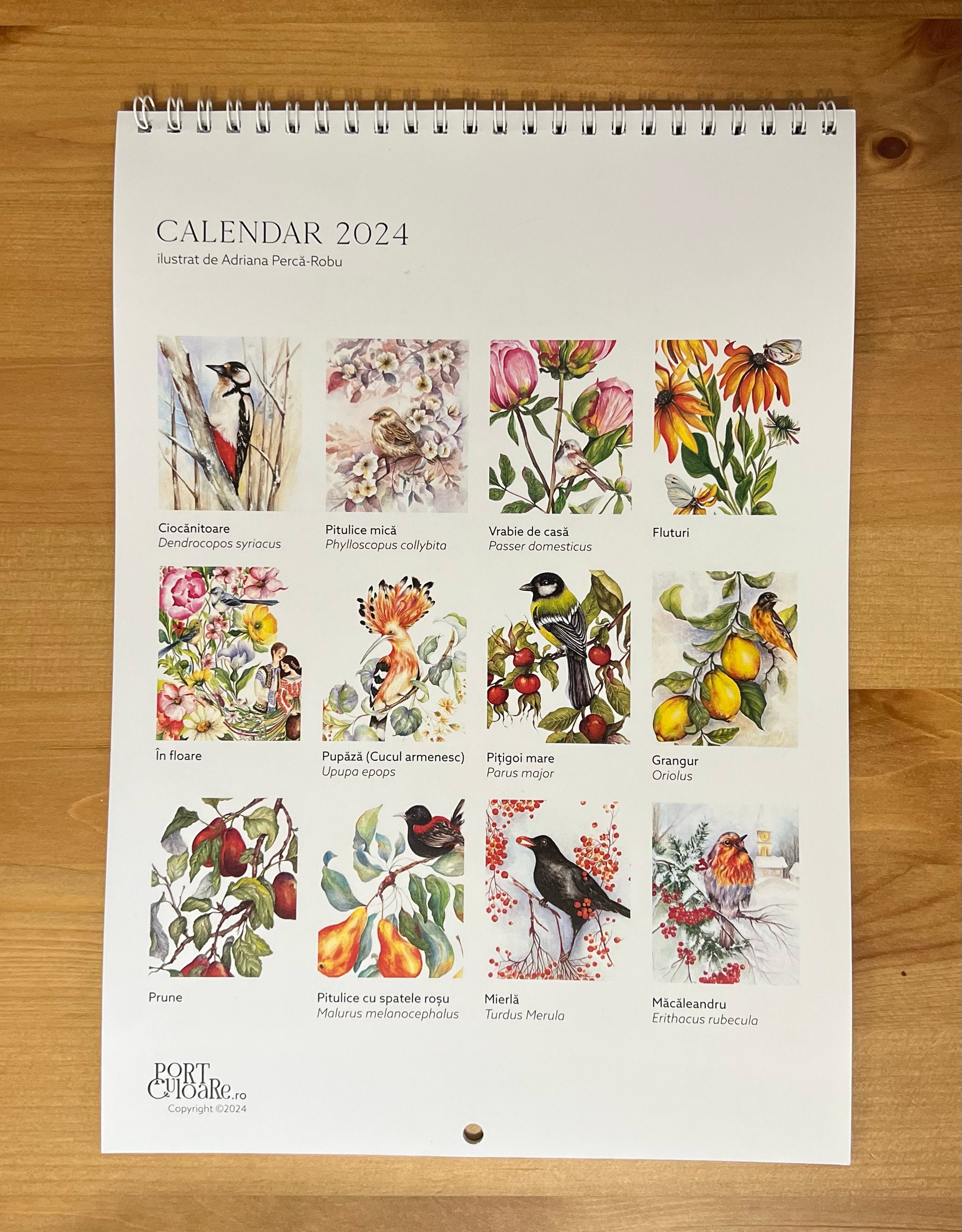 Illustrated Calendar 2024 Birds and Flora. Fine Art Calendar. Art ...