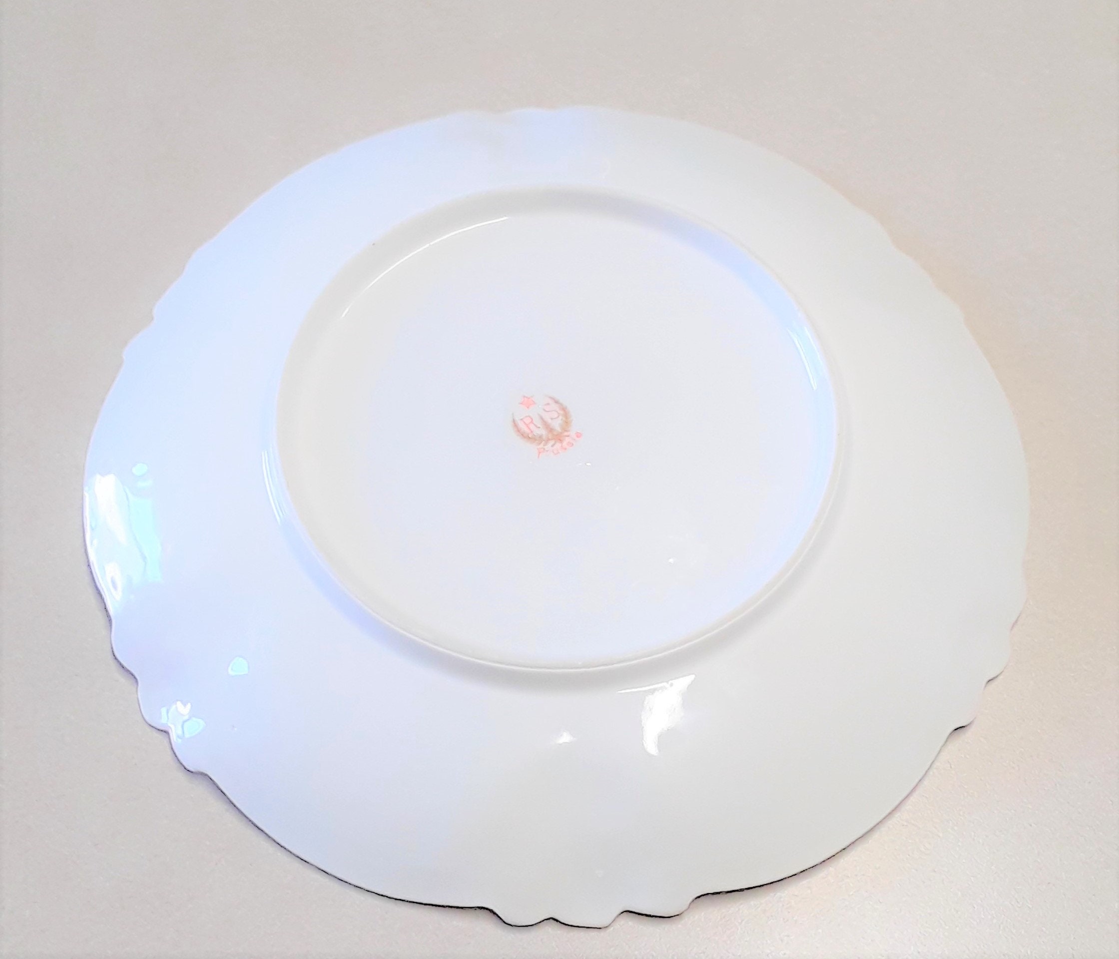 Two Antique R.S. Prussia Red Mark Porcelain Plates, With Flowers and ...