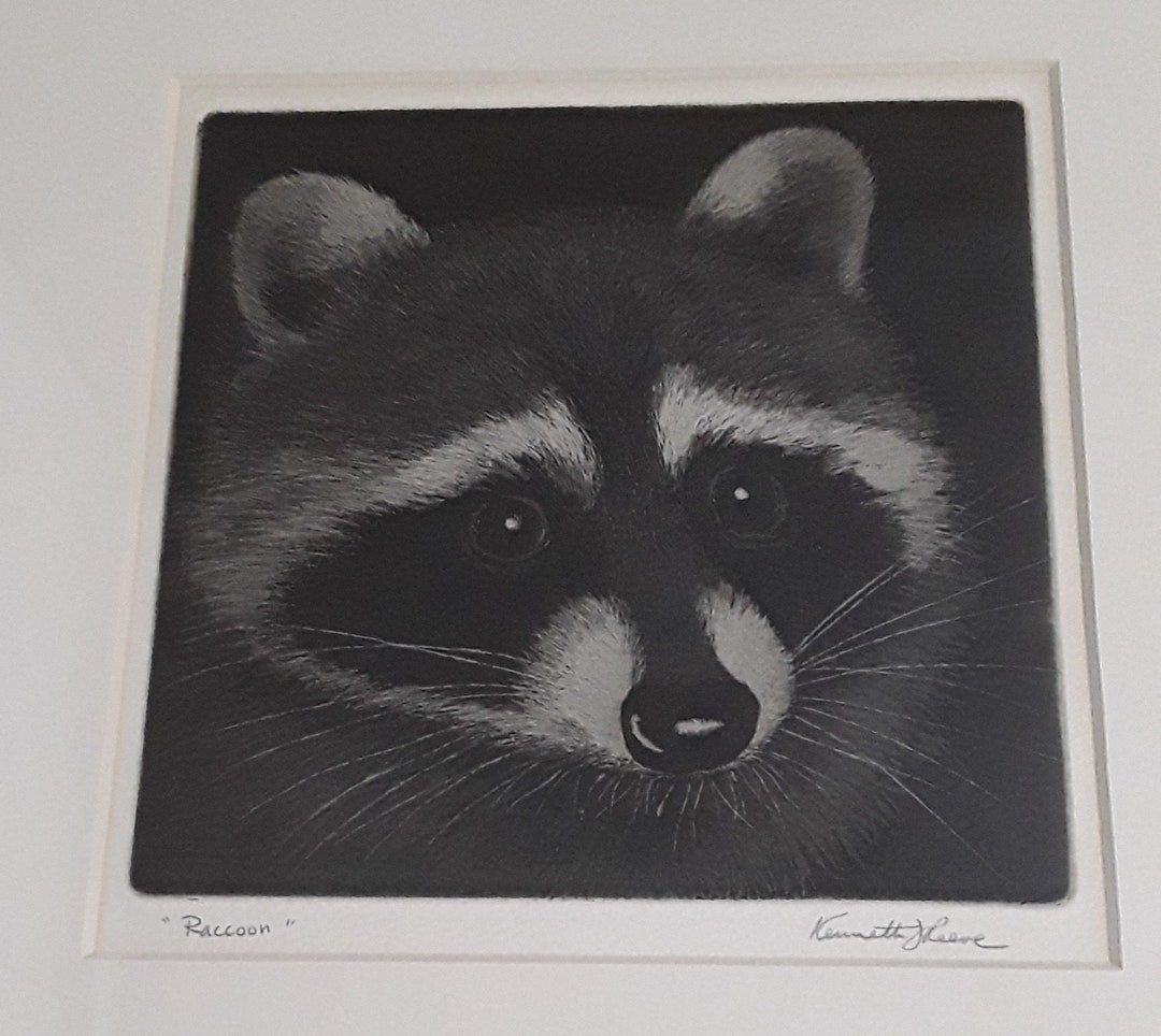 Signed Original Aquatint Etching of Raccoon, by Brown County, Indiana ...
