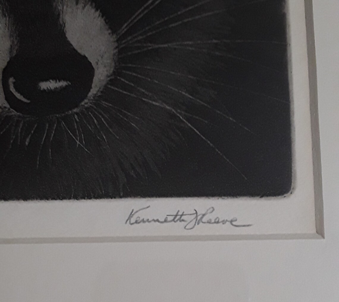 Signed Original Aquatint Etching of Raccoon, by Brown County, Indiana ...