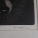 Signed Original Aquatint Etching of Raccoon, by Brown County, Indiana ...