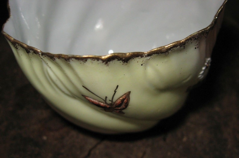 Rare Antique Knowles, Taylor, & Knowles (KTK) Hand-painted Lotus Ware ...