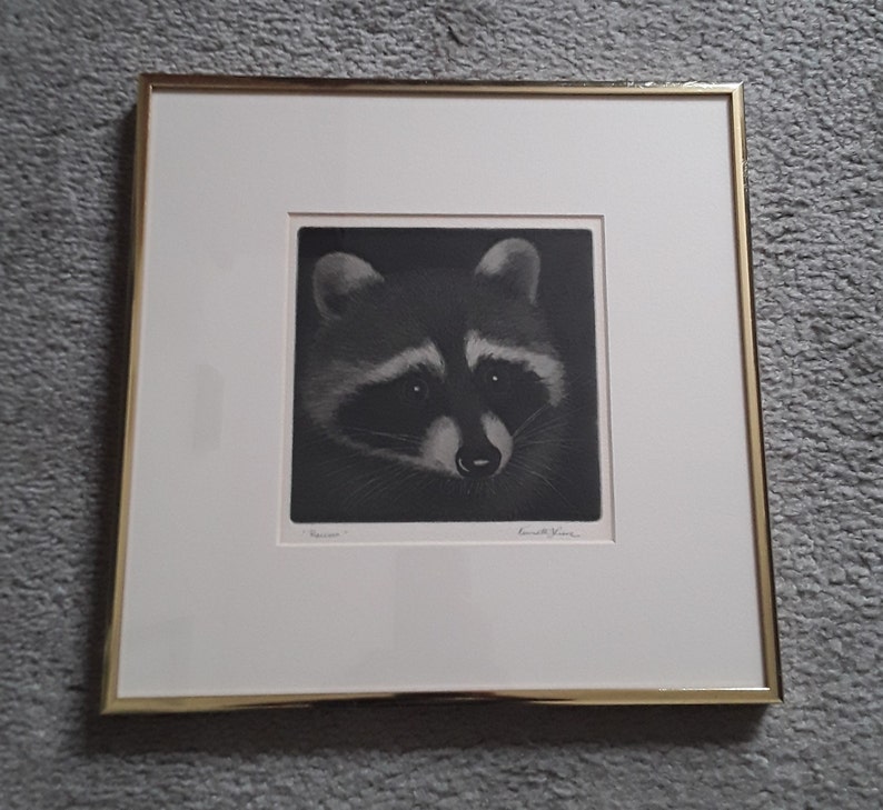 Signed Original Aquatint Etching of Raccoon, by Brown County, Indiana ...