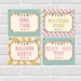 Pastel Carnival Party Signs Set of 6 Arrow and Welcome Signs for Pink ...