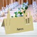 Cricket Name Place Seating Cards for Cricket Wedding or Cricket Party ...