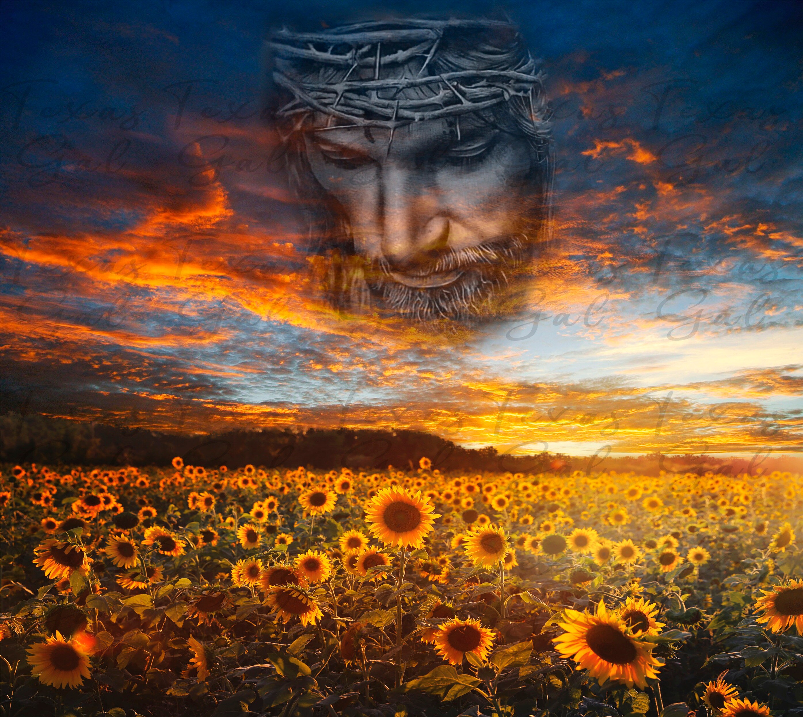 20 Oz Skinny Tumbler Jesus Sunflowers Sublimation Design PNG - Etsy