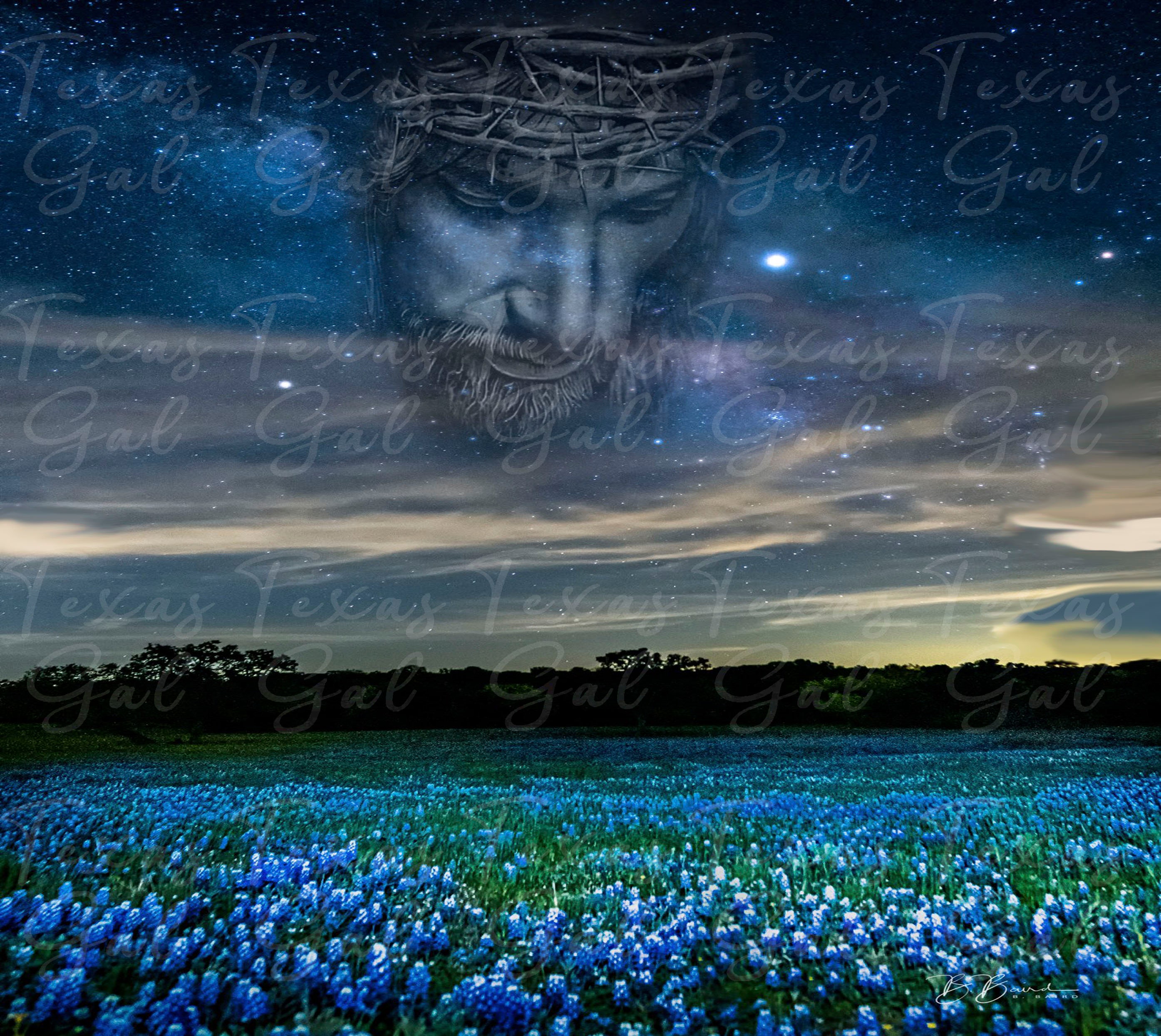 20 Oz Skinny Tumbler Jesus Bluebonnets Sublimation Design PNG - Etsy