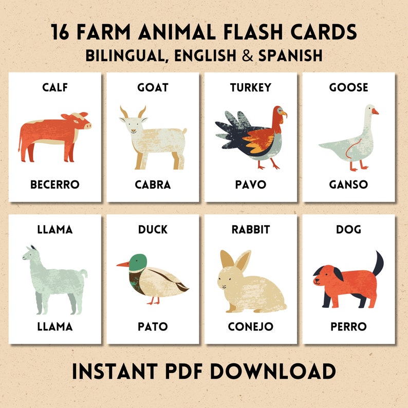 Bilingual Flashcards ESL Animal Cards Spanish & English Learning Tools ...