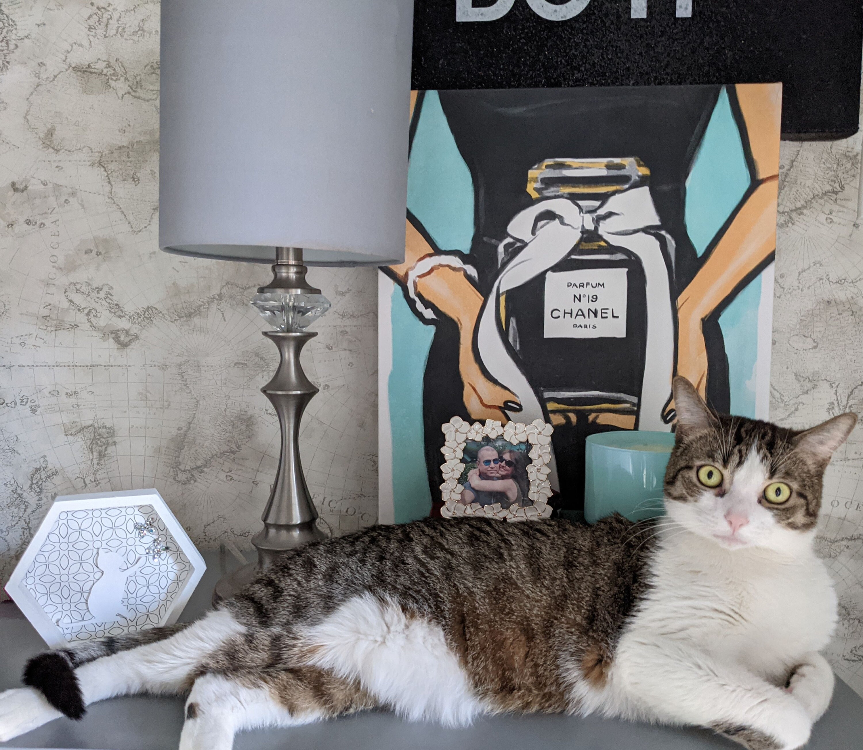 Cat Shadow Box Pet Shadow Box Memorial Pet Loss Kids | Etsy