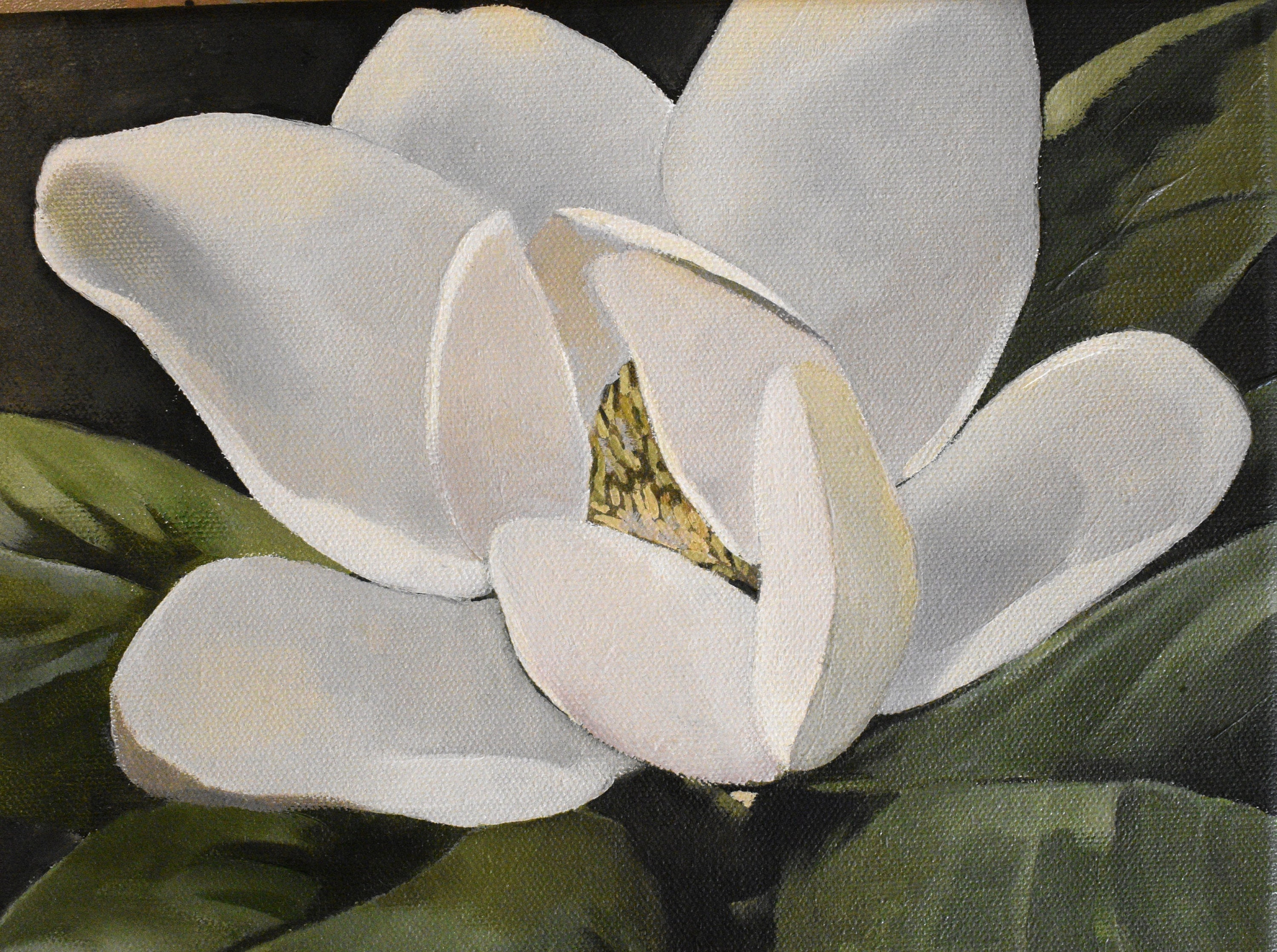 White Magnolia Flower Painting