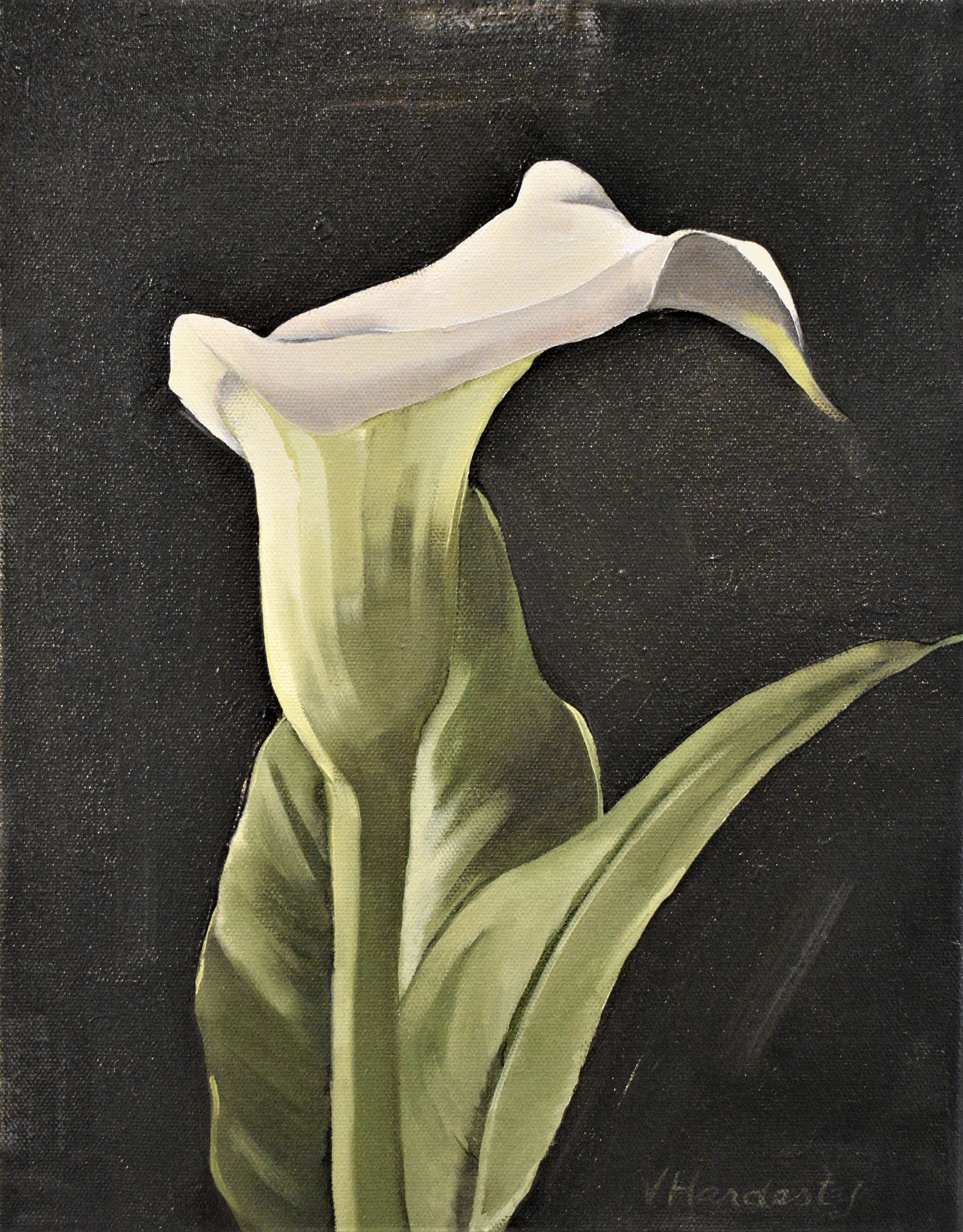 White Calla Lily Painting