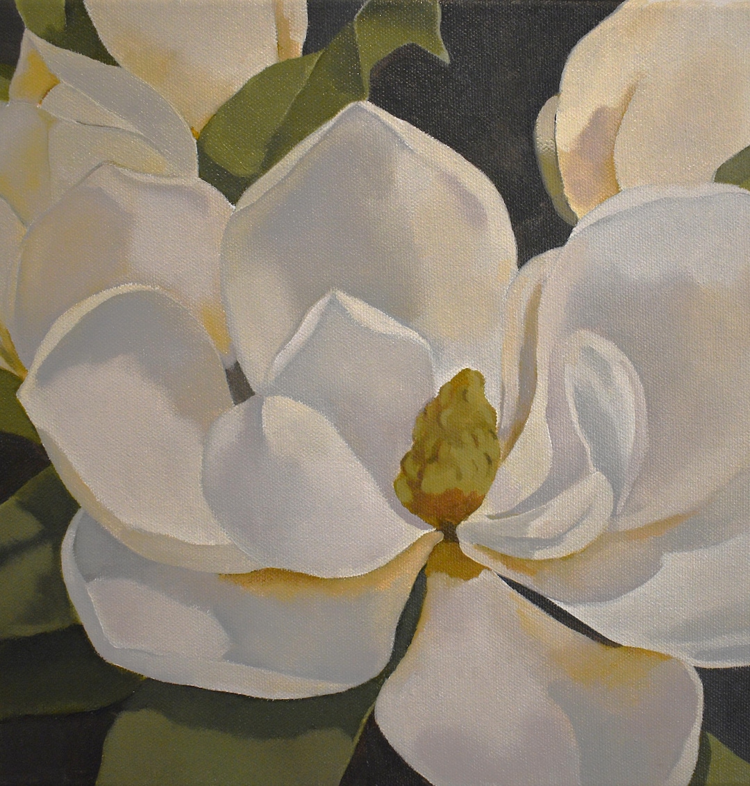Sweet Magnolia 12x12 Original Oil Painting White Magnolia Art, White ...