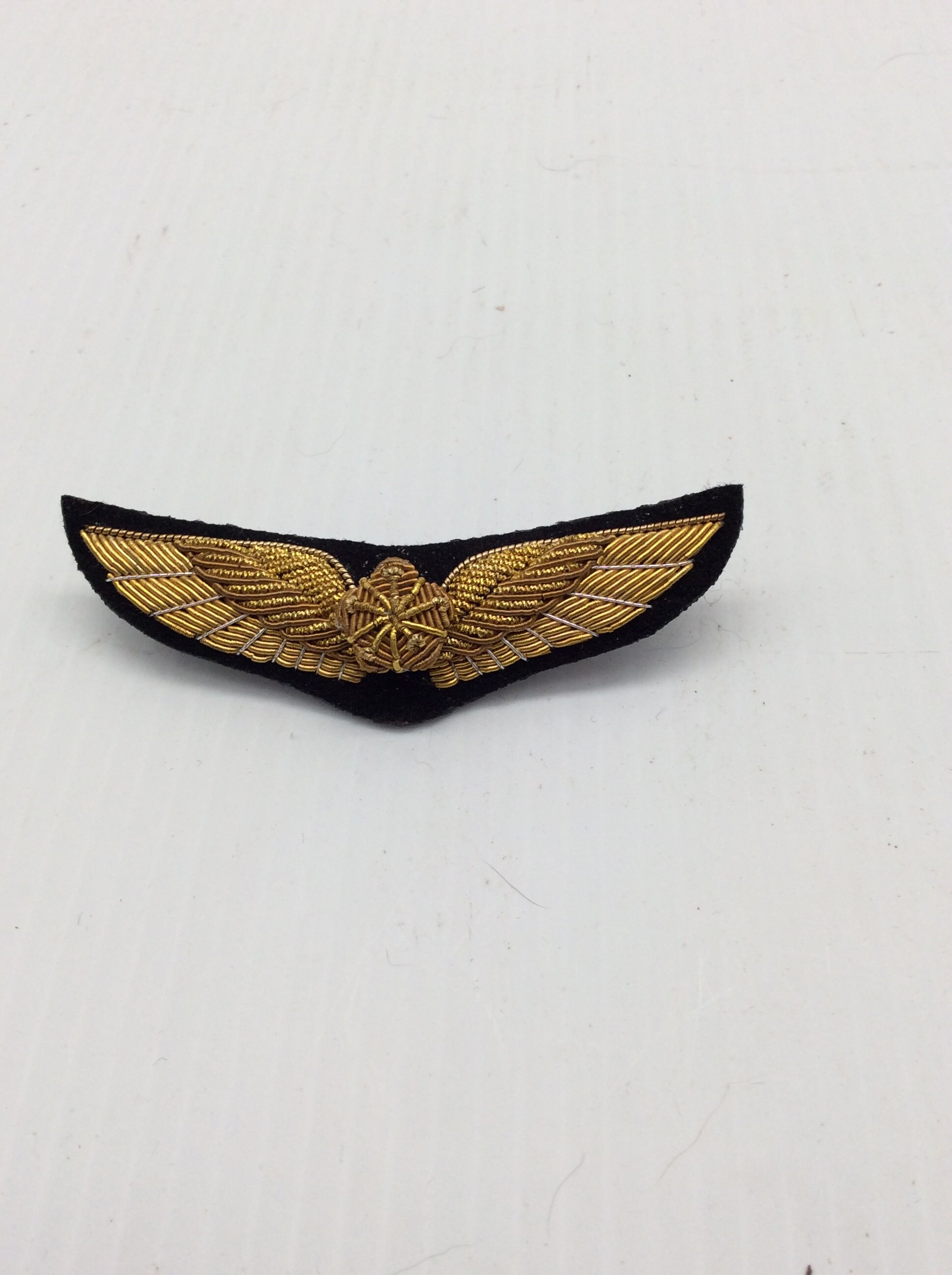 Pilot Wings Badge