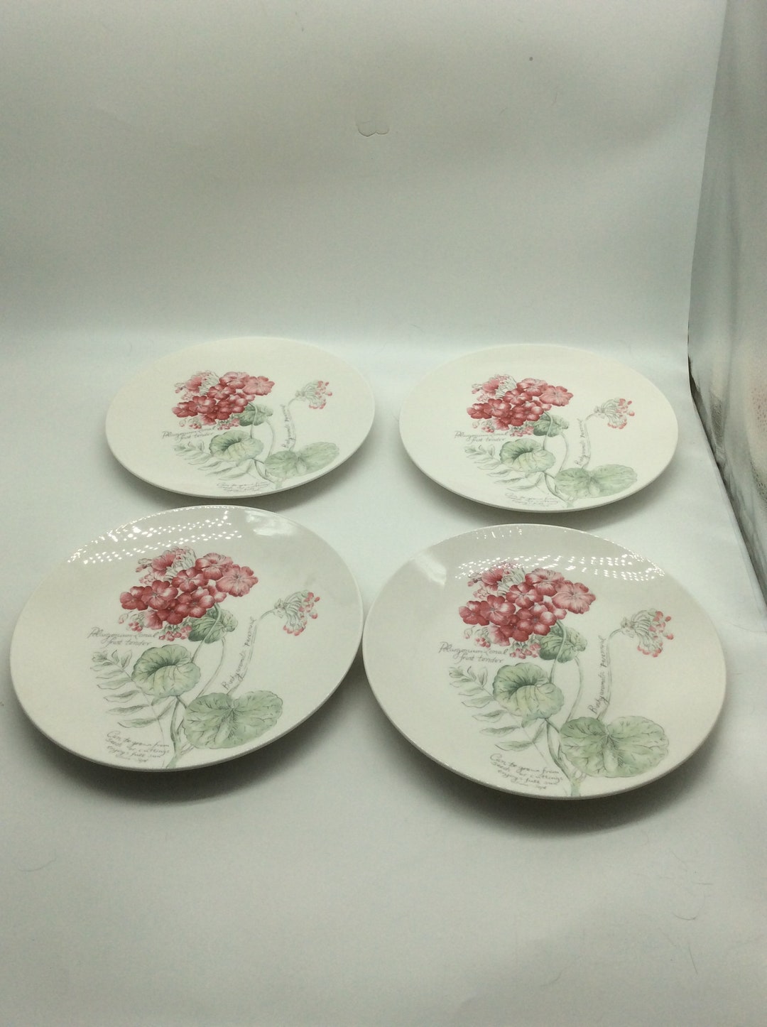 Lot of 4 Lenox Artist Sketchbook by Louise Le Luyer Geranium 11 Dinner ...