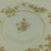 Haviland & Co Limoges the Countess 8.5 Coupe Luncheon Plate Scalloped ...
