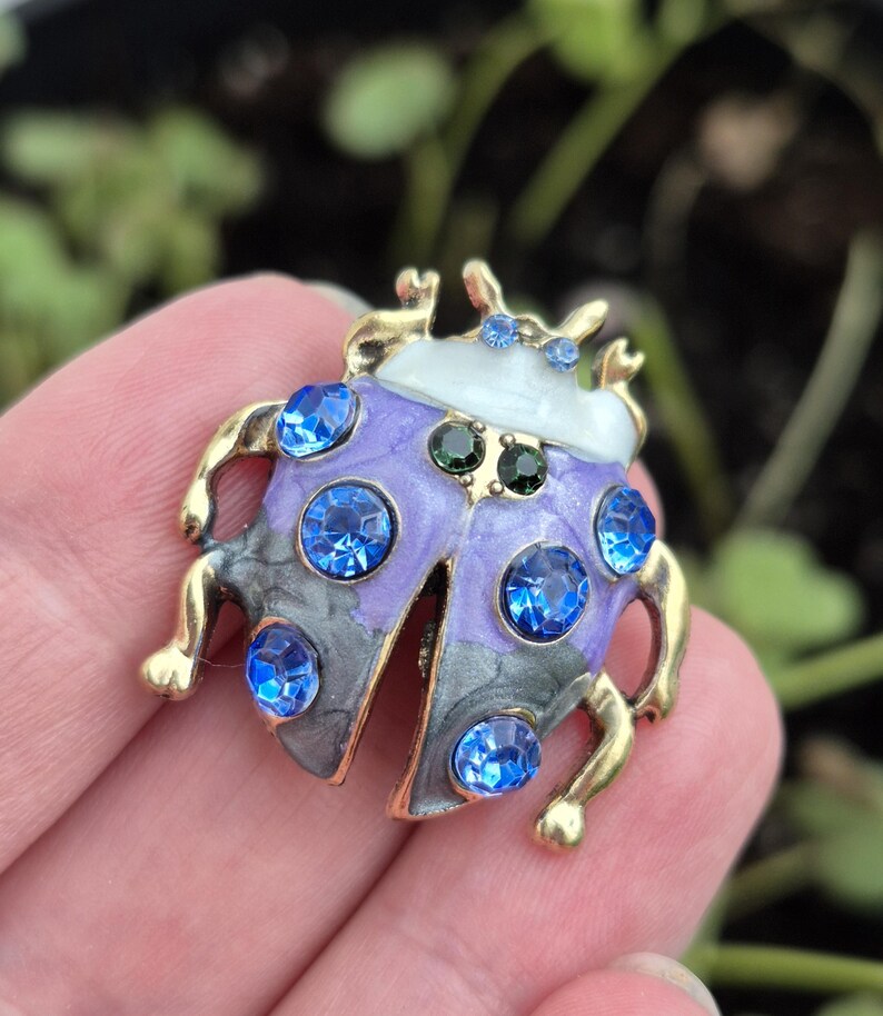 Small Bug With Blue Eyes Brooch: Purple Enamel and Crystal Ladybug ...