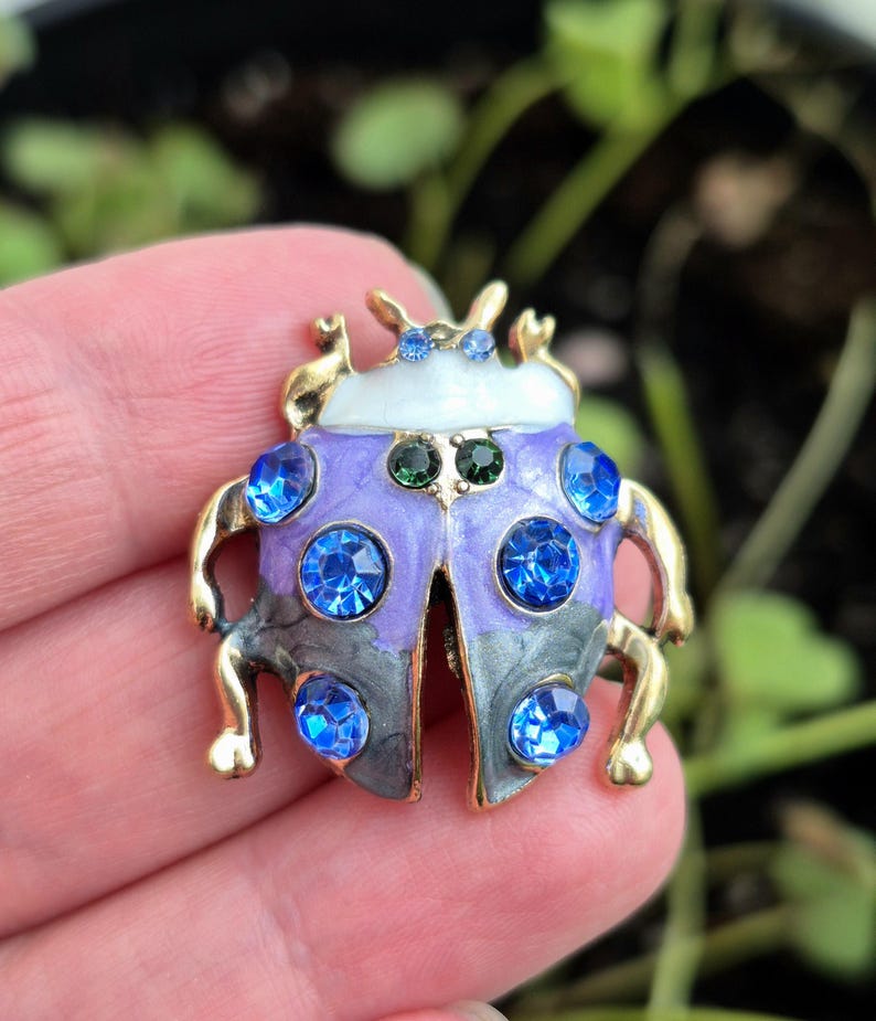 Small Bug With Blue Eyes Brooch: Purple Enamel and Crystal Ladybug ...