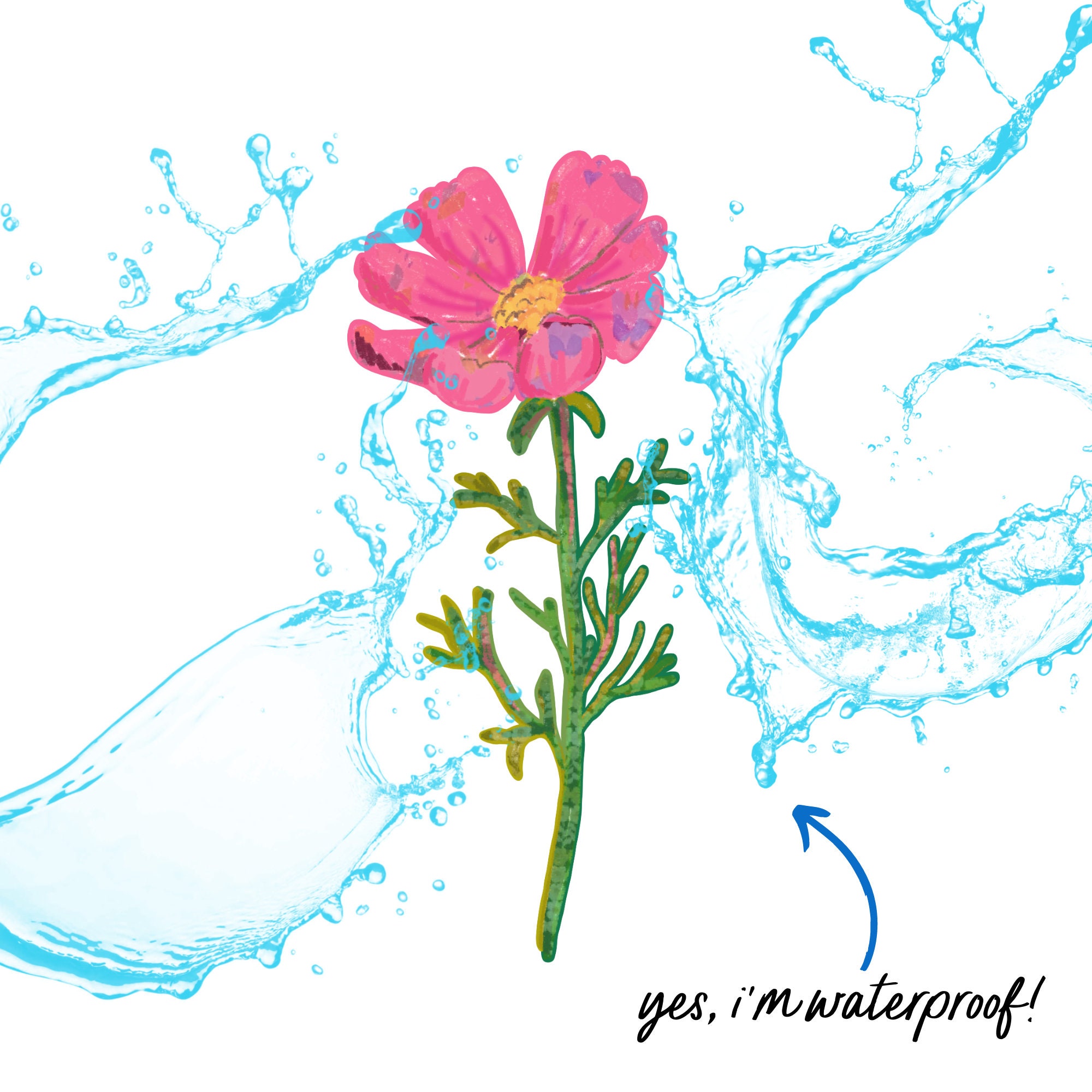 Cute Cosmo Flower Sticker - October Birth Flower Stickers, If Moms Were ...