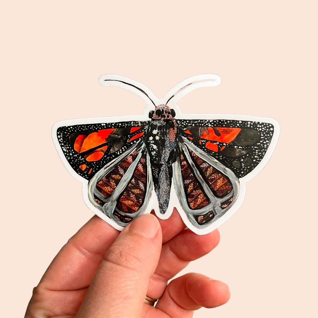 Boho Star Butterfly Sticker, Granola Girl Aesthetic, Vinyl Butterfly ...